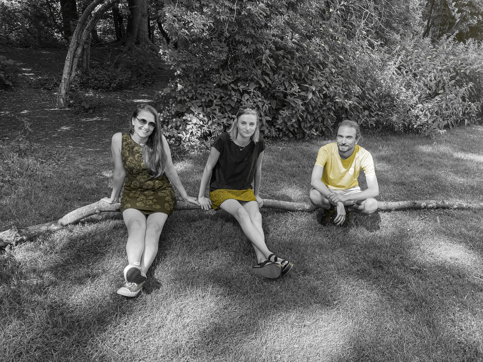Equipes - Ma Friche Urbaine